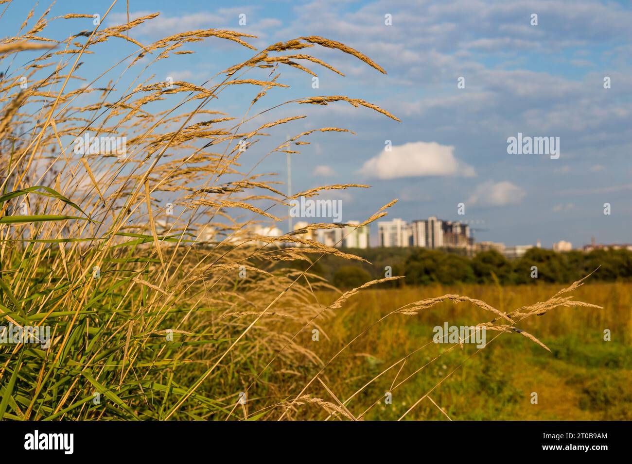 Backdrop of distant buildings hi-res stock photography and images - Alamy