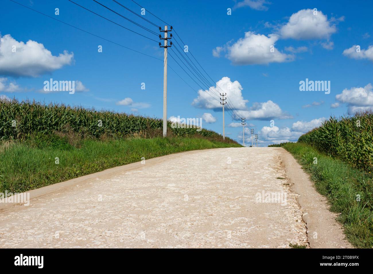 Power line and country road running through corn fields Stock Photo - Alamy