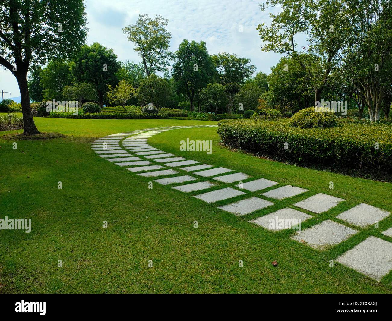 A scenic view of a grassy pathway winding its way through a lush park ...