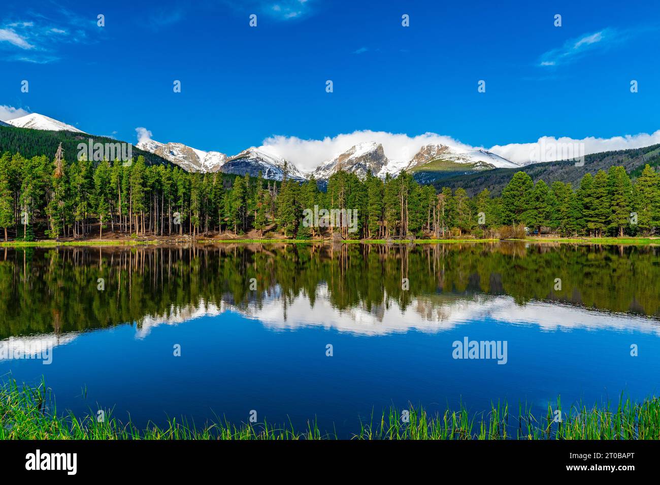 An idyllic landscape featuring a tranquil pond surrounded by tall trees ...