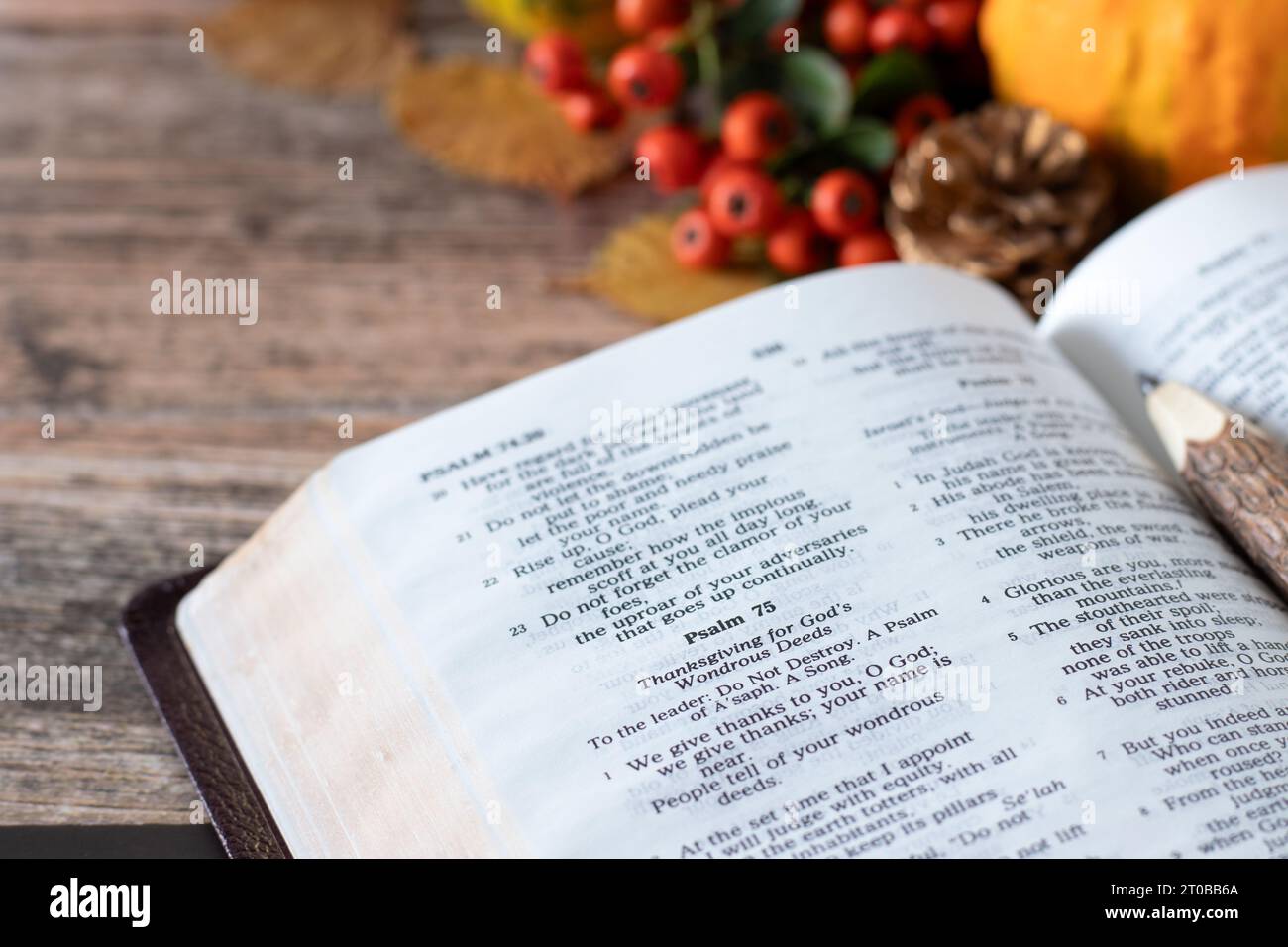 Open holy bible book and autumn fruit and leaves in the background ...