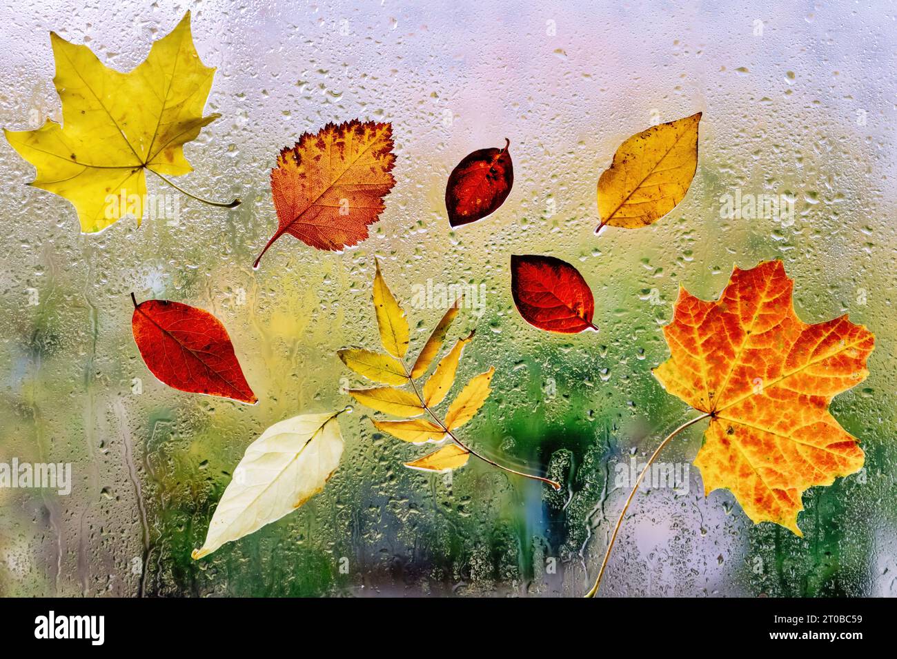 Emotional window display hi-res stock photography and images - Alamy