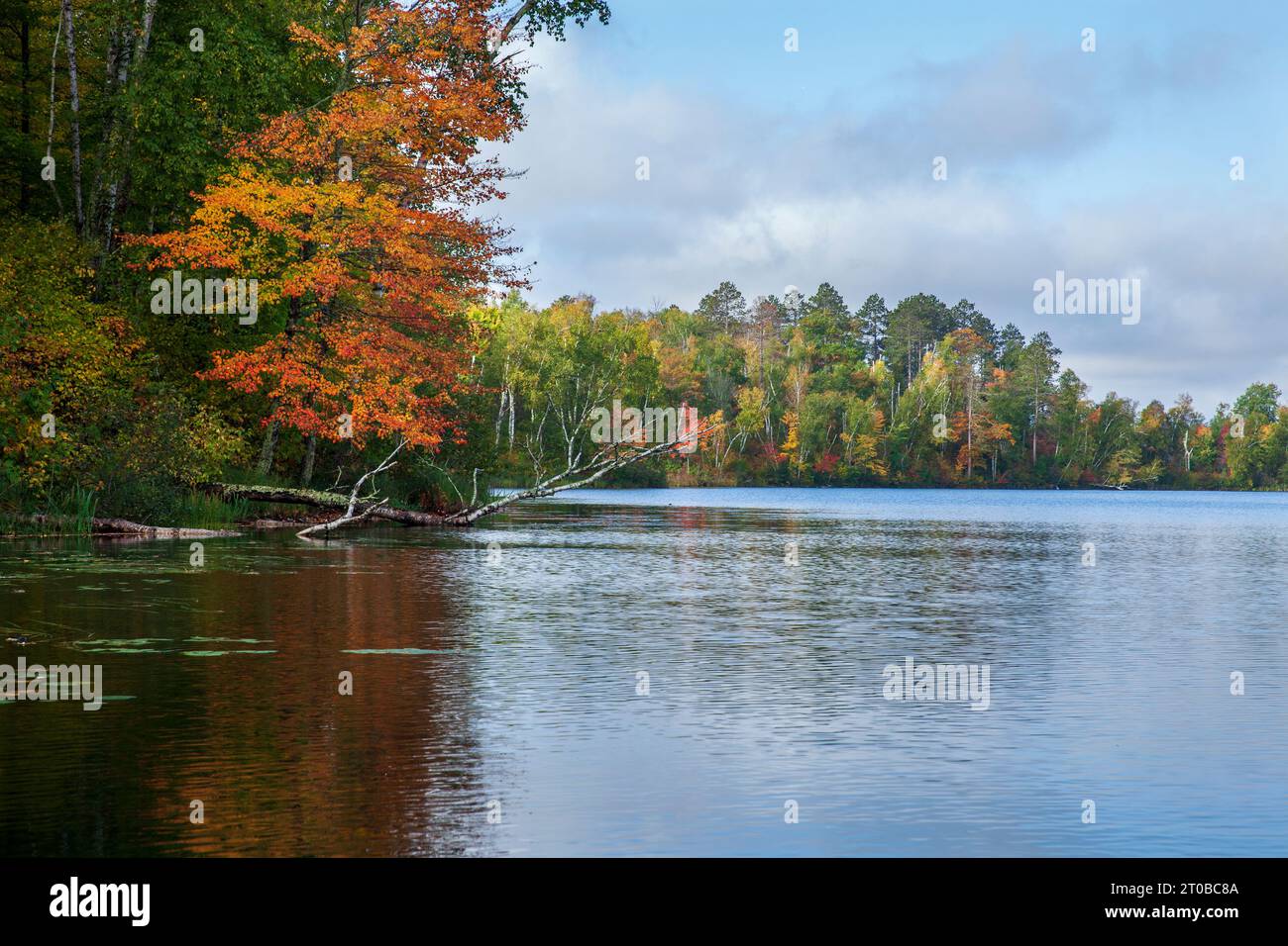 Beautiful lake and shore with trees in autumn color in northern ...