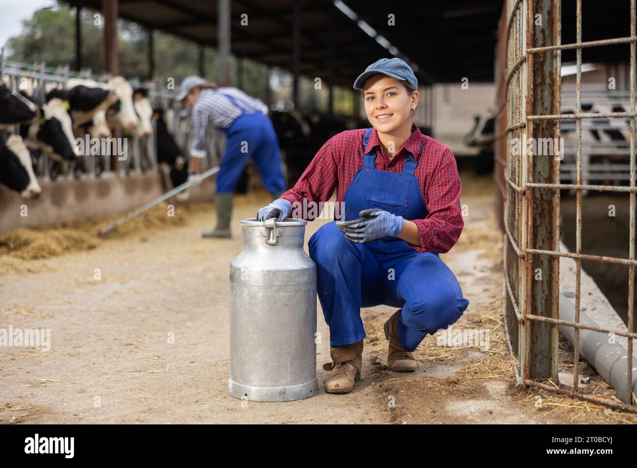 Female owner with milk can standing in stall on background with herd of ...