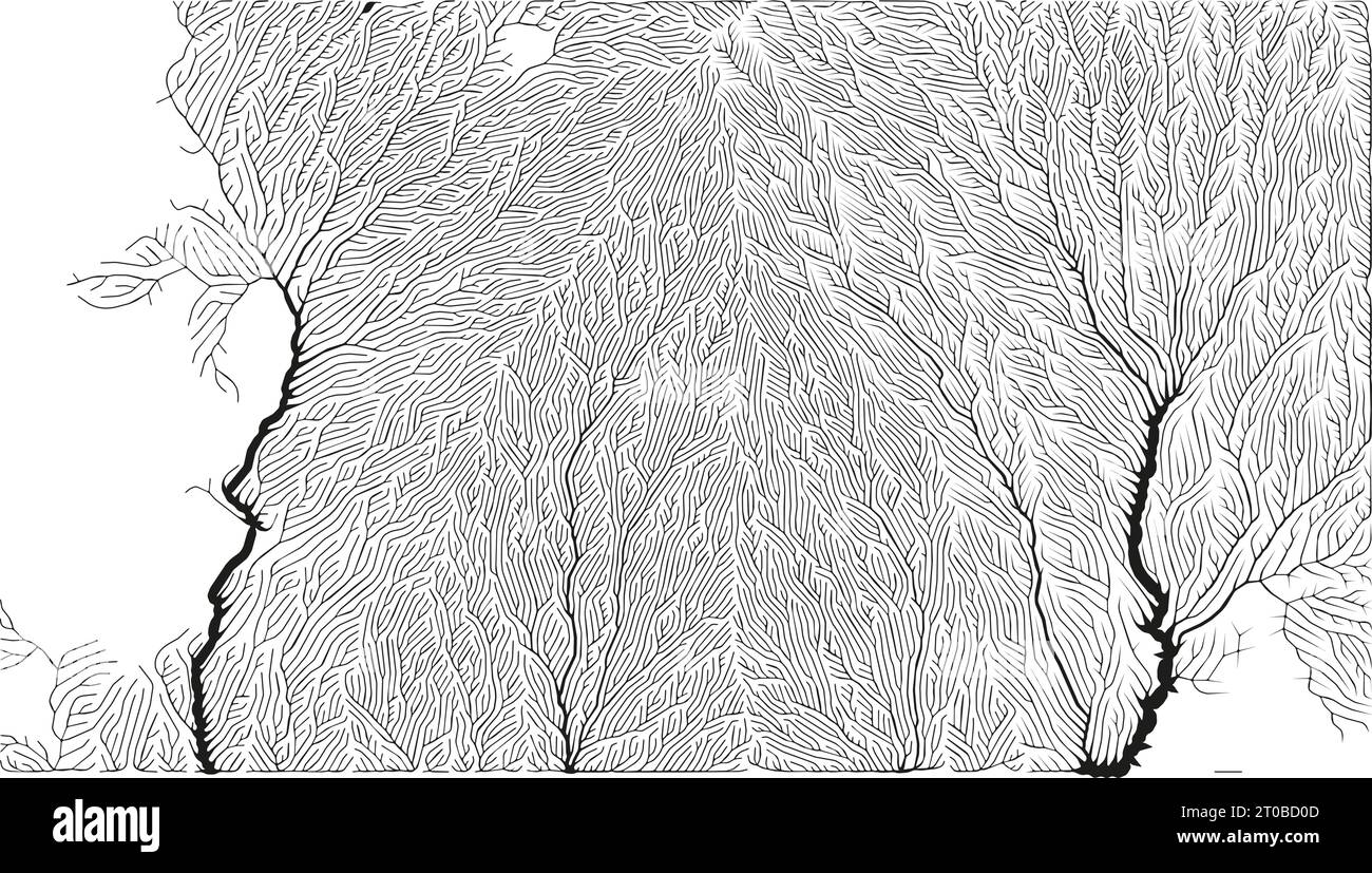 Growth pattern. Generative branching structure. Organic net of vessels ...