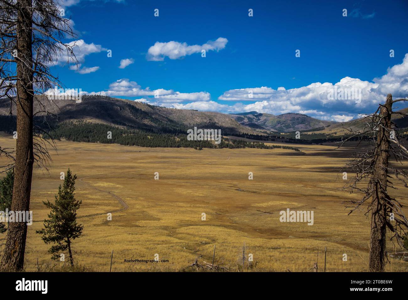 Caldera national preserve hi-res stock photography and images - Alamy