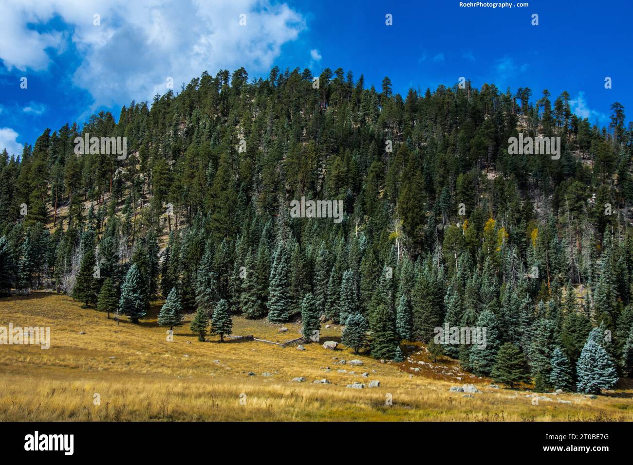 Jemez mountains volcanic field hi-res stock photography and images - Alamy