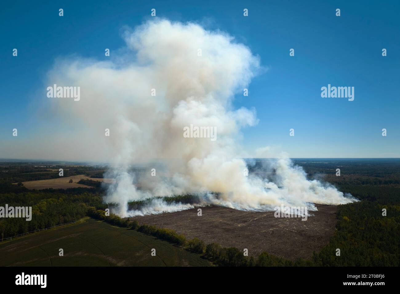 Aerial view of white smoke from forest fire rising up polluting ...