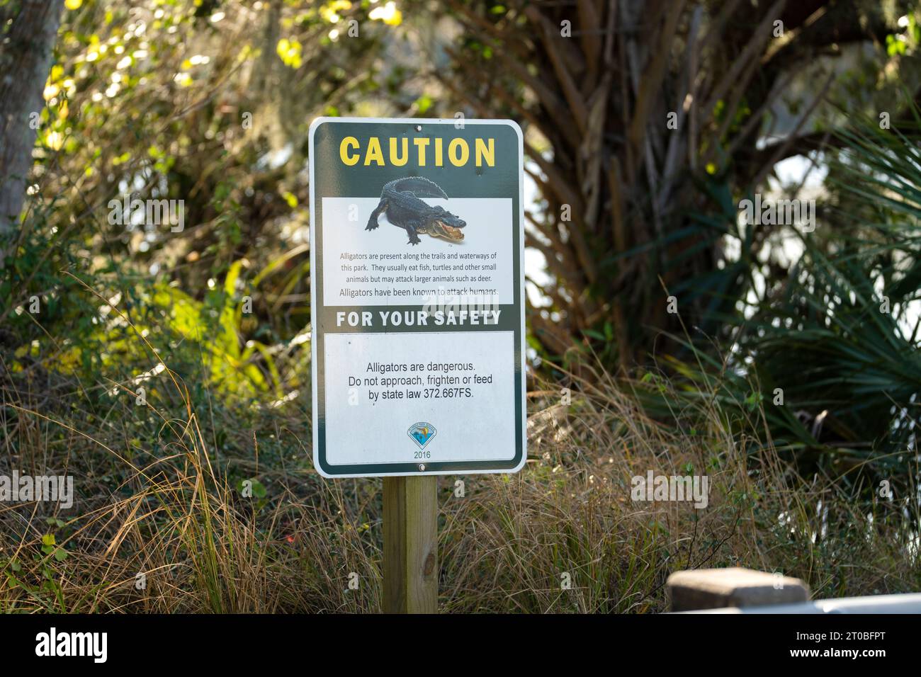 Alligators warning sign in Florida state park about caution and safety ...
