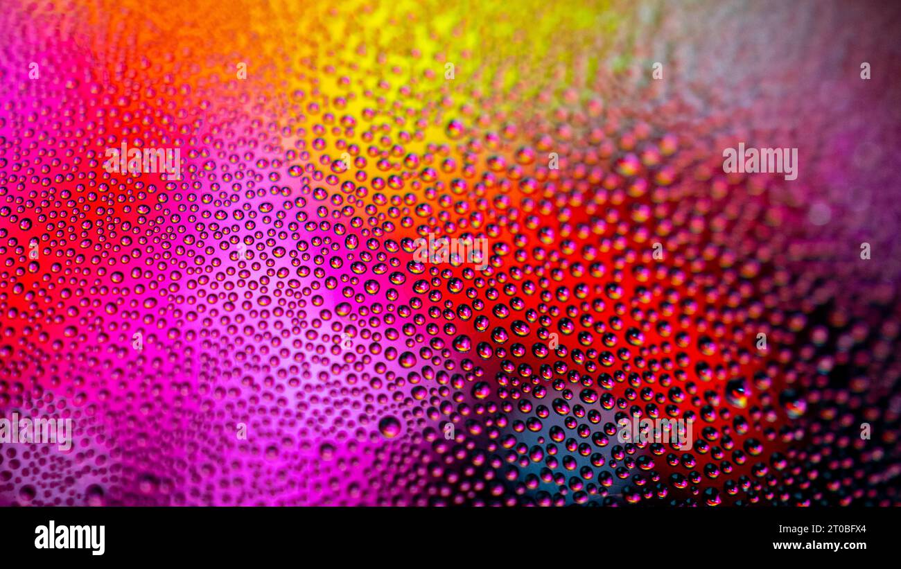 Macro of water drops over a colorful red, pink and yellow gradient ...