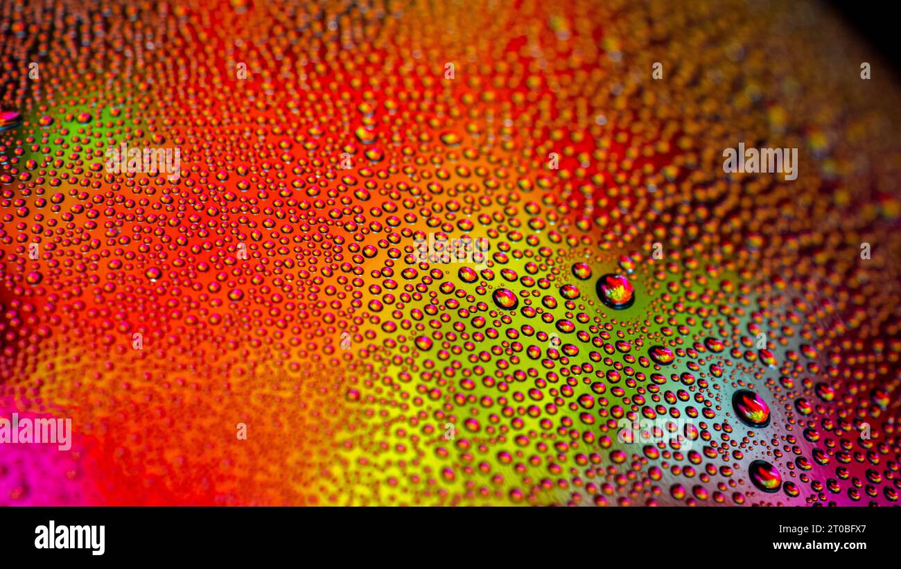 Macro of water drops over a colorful red, pink, yellow and orange ...