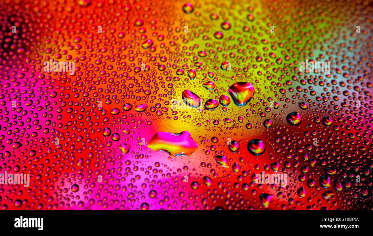 Macro of water drops over a colorful red, pink and yellow gradient ...