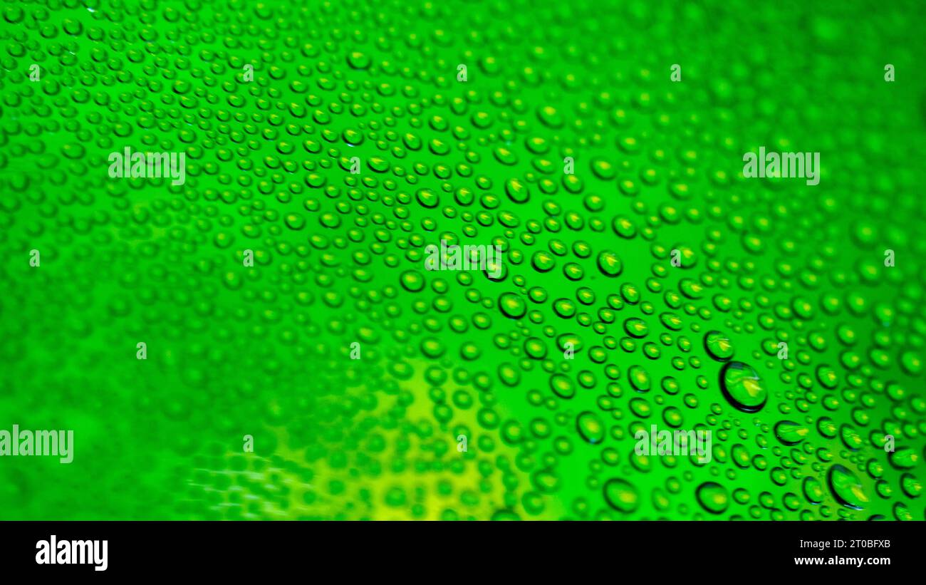 Macro of water drops over a colorful green gradient background Stock ...