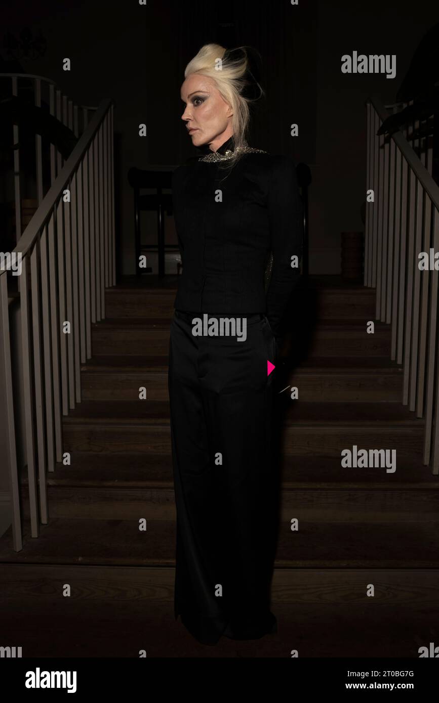 Daphne Guinness attends the Robbie Furze and Robyn Ward charity evening ...