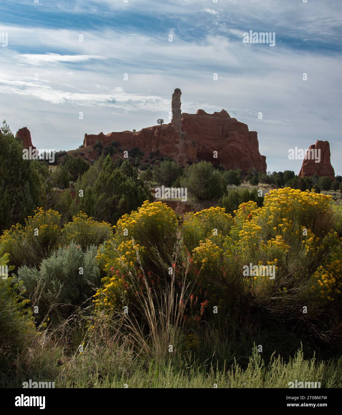 Rock formations from Kodachrome State Park, Utah. With brightly colored ...