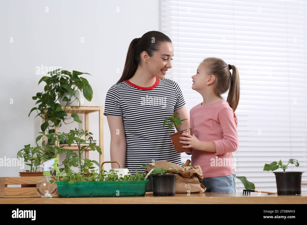 Planting seedlings. Mother and daughter with different plants in room ...