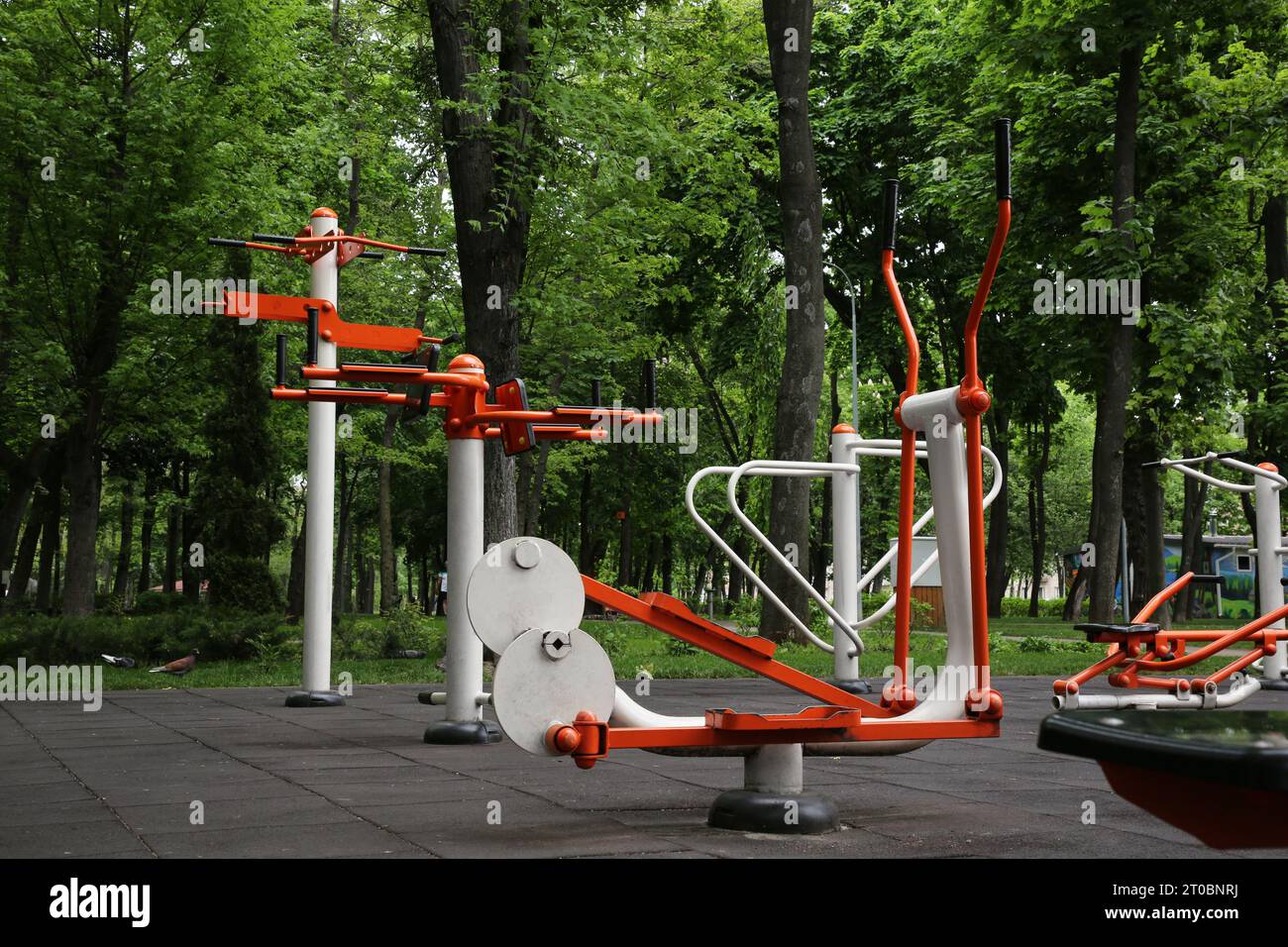 Empty outdoor gym with ovate stepper and push up bars Stock Photo - Alamy