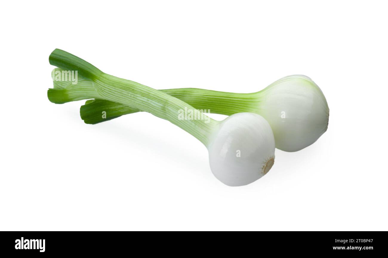 Raw green onions chives Cut Out Stock Images & Pictures - Alamy