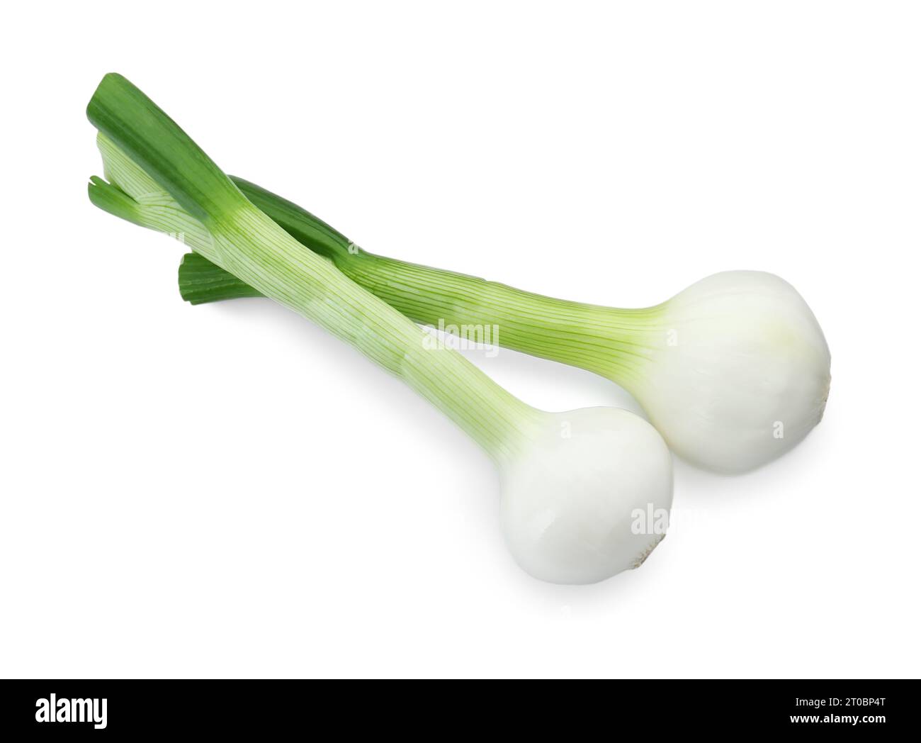 Raw green onions chives Cut Out Stock Images & Pictures - Alamy