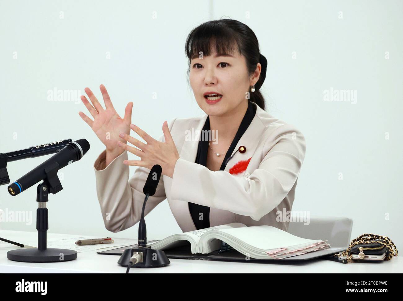 Japan's minister of state for measures for the declining birth rate ...