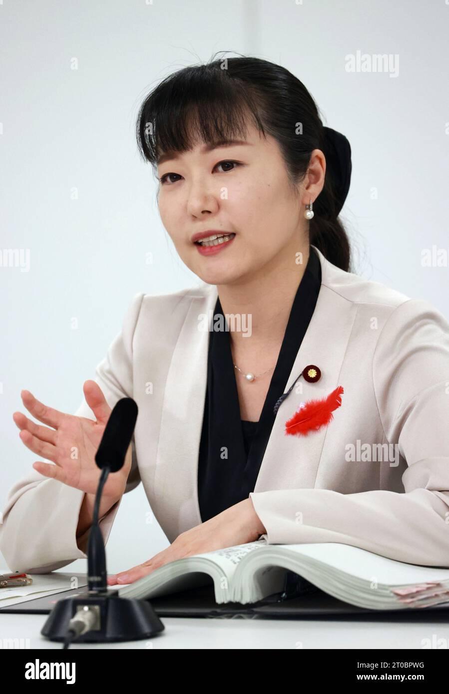 Japan's minister of state for measures for the declining birth rate ...