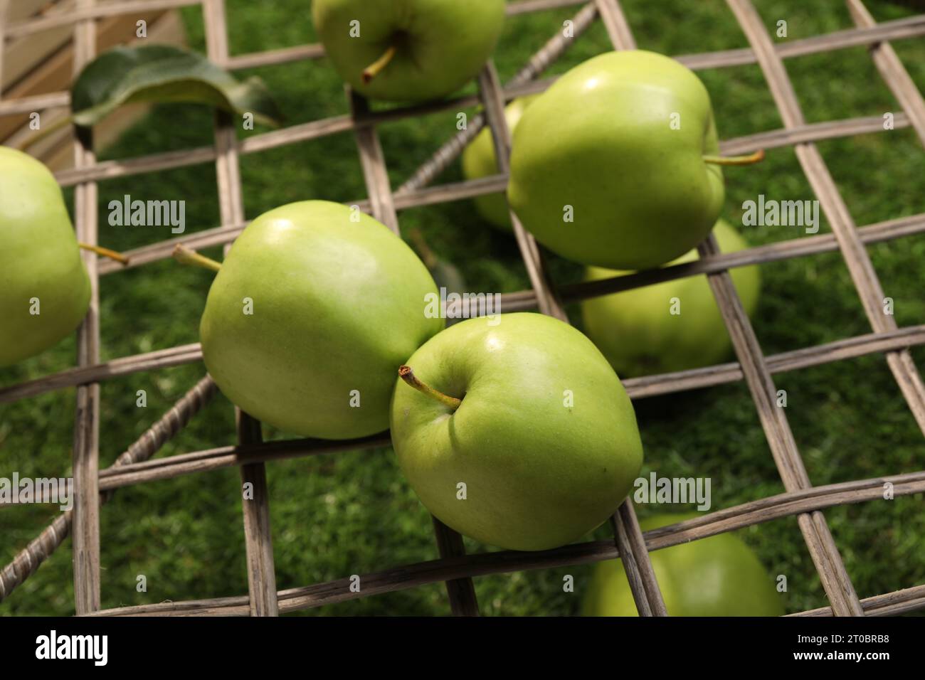 Rattan harvest hi-res stock photography and images - Alamy
