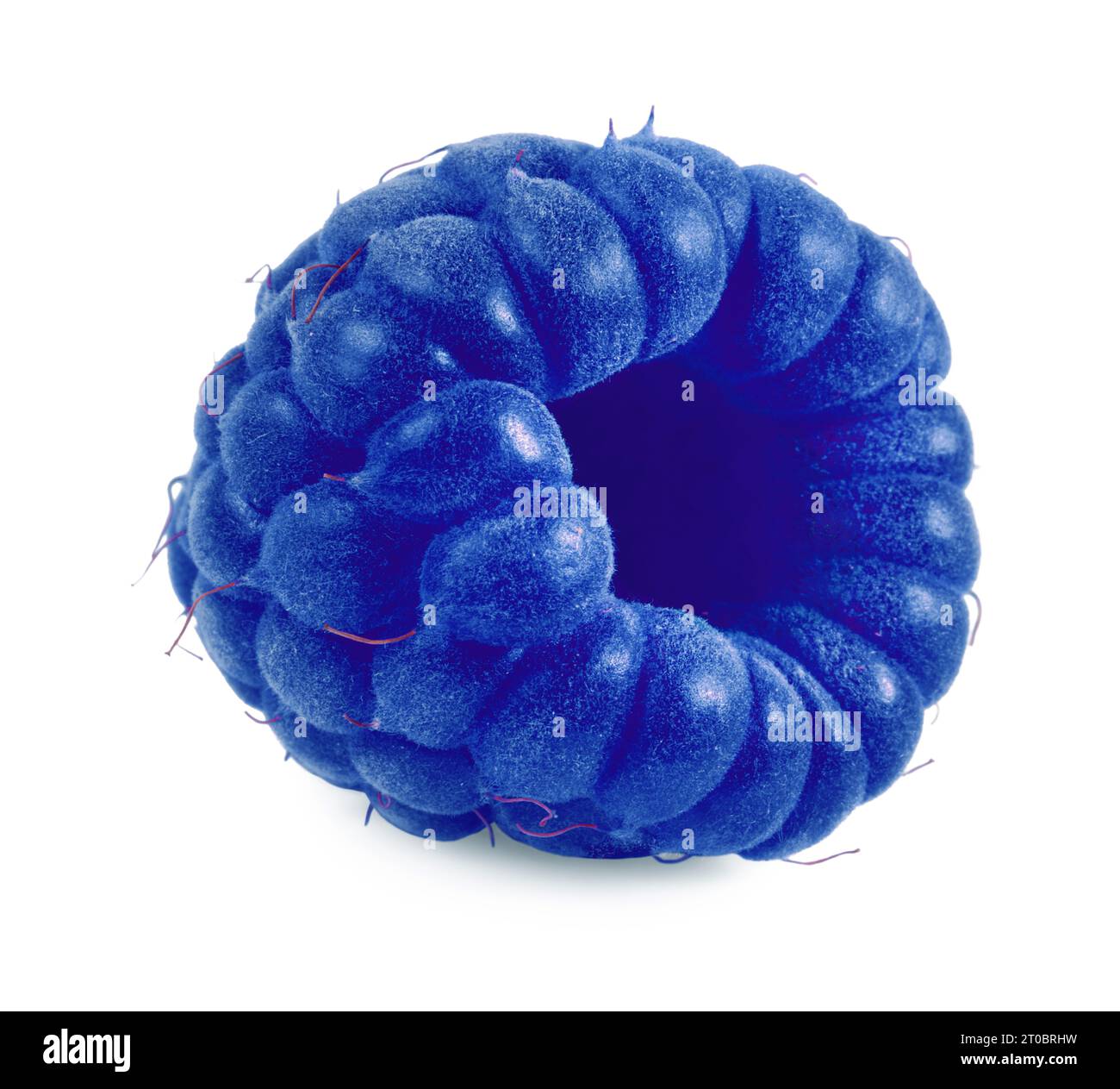 One fresh blue raspberry isolated on white Stock Photo - Alamy