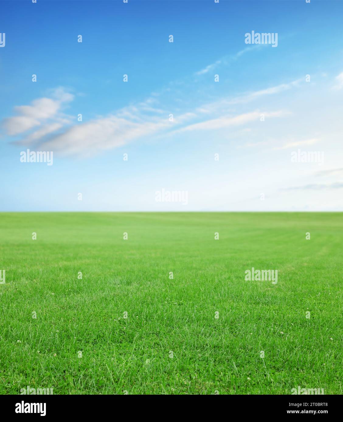 Lush green farmland under bright hi-res stock photography and images ...