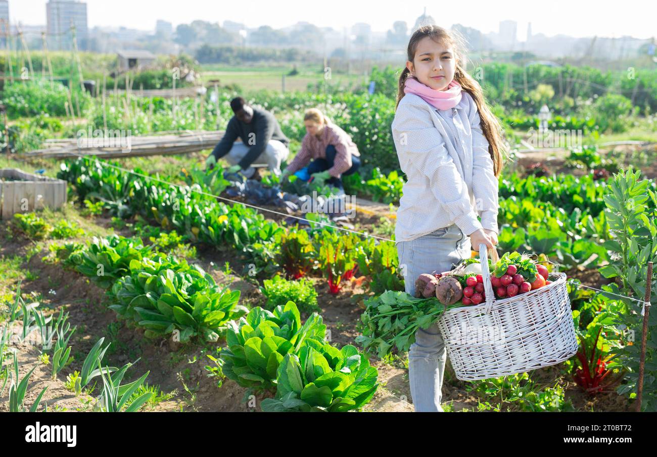 Portrait of a teenage girl with a basket of crops in the vegetable ...