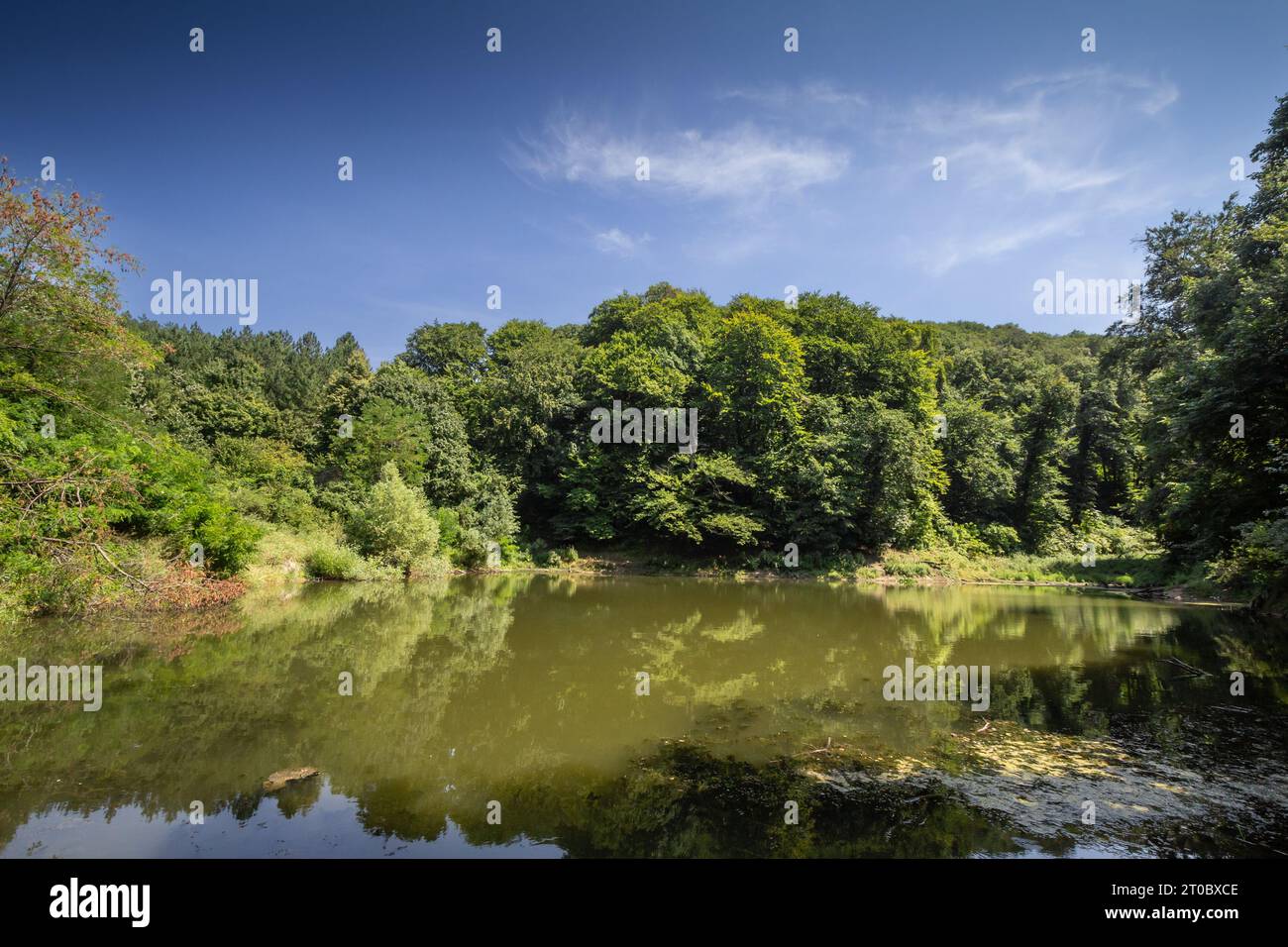 Duboki potok jezero hi-res stock photography and images - Alamy