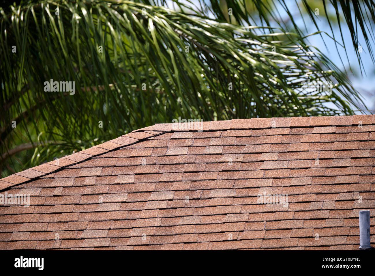 Closeup of house roof top covered with asphalt or bitumen shingles ...