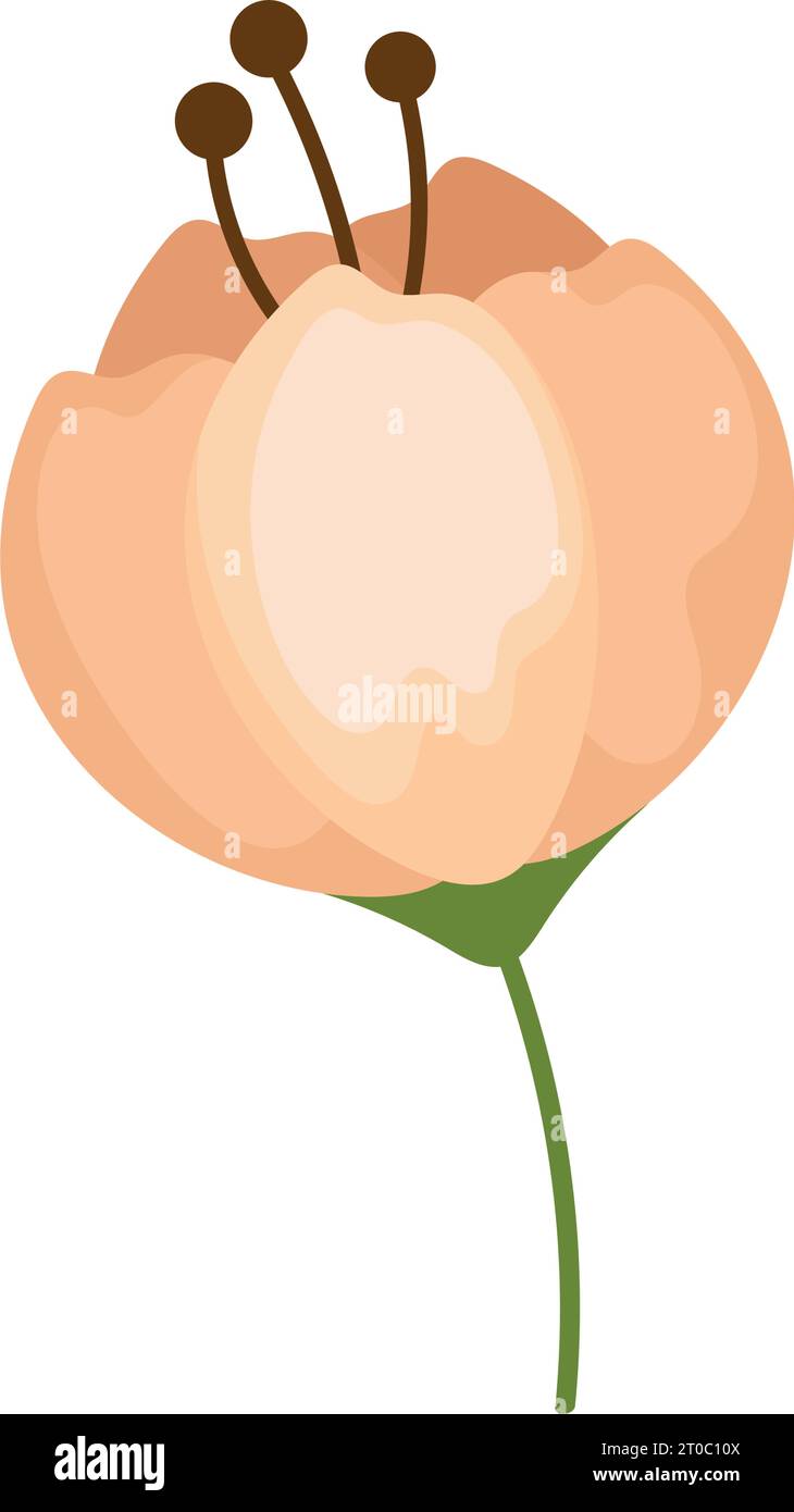 flower sprout illustration Stock Vector Image & Art - Alamy