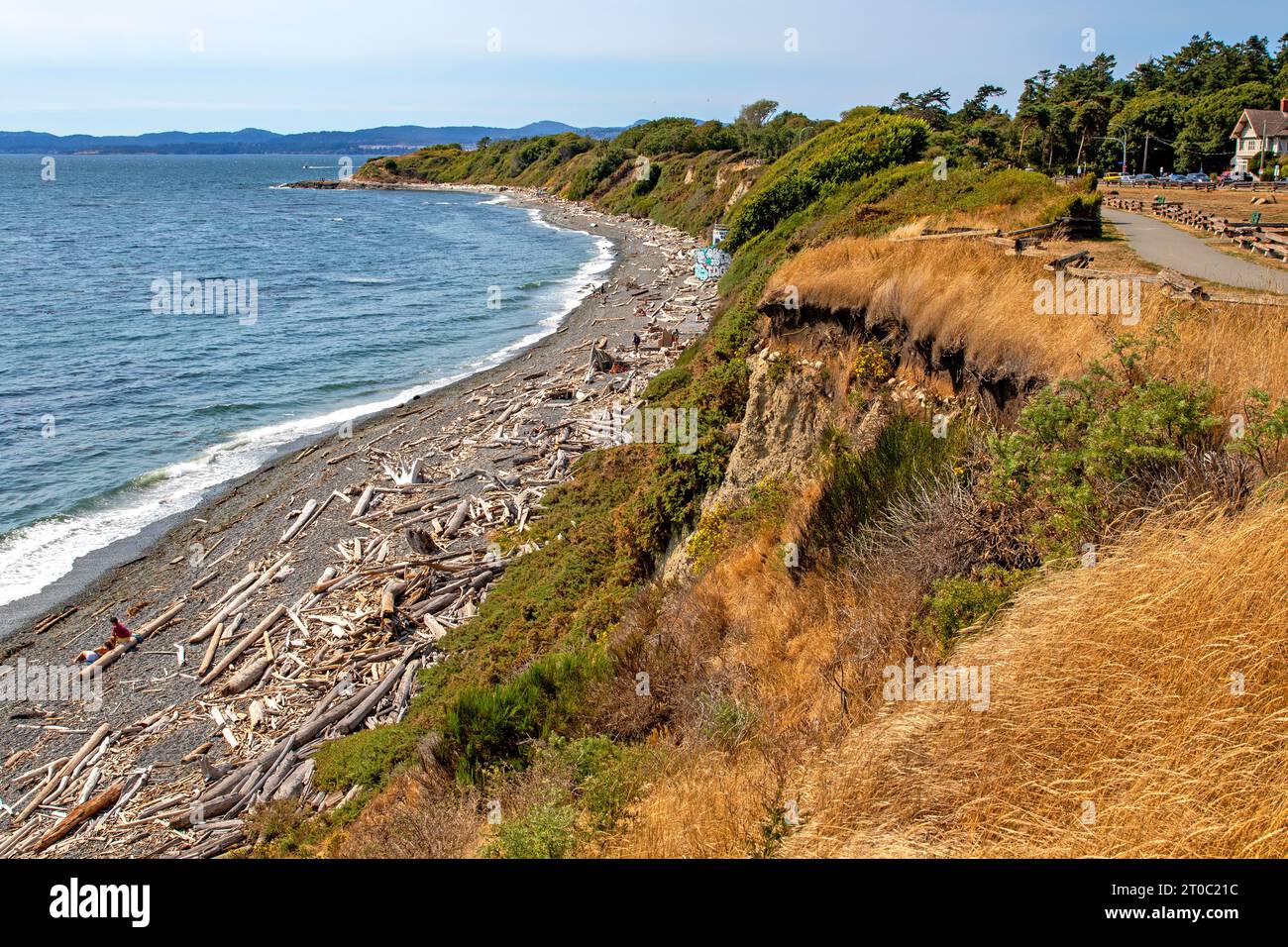 Driftwood-strewn Spiral Beach in Victoria, Vancouver Island Stock Photo ...