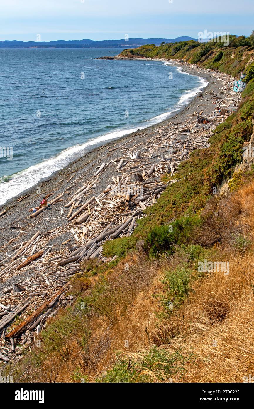Driftwood-strewn Spiral Beach in Victoria, Vancouver Island Stock Photo ...