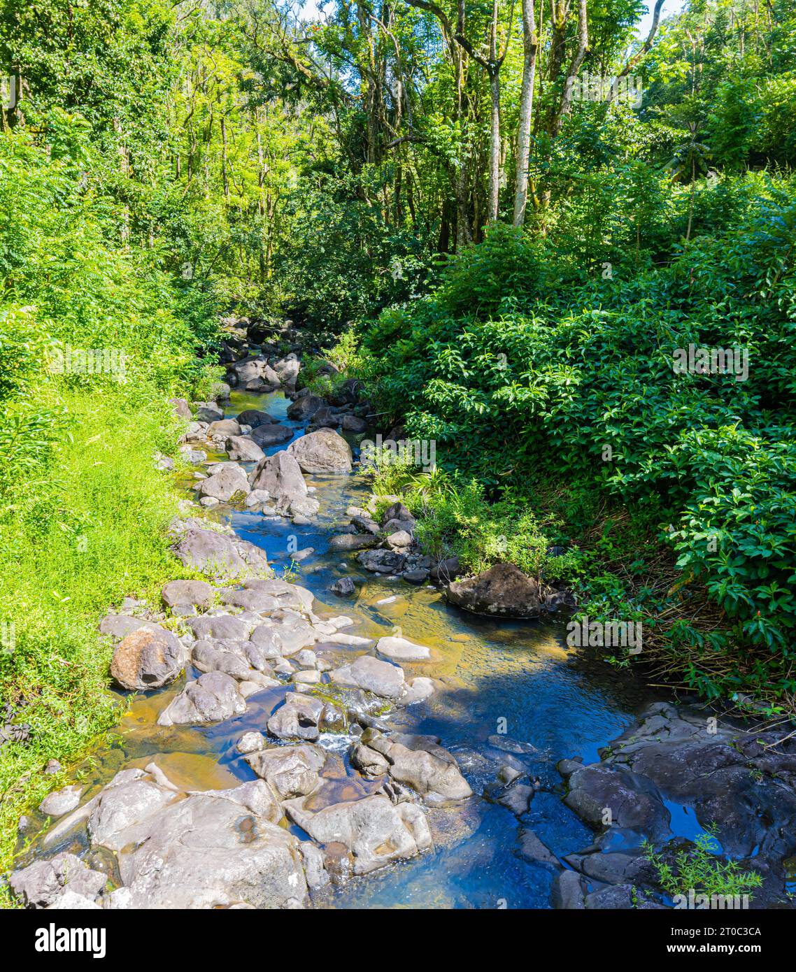 One of Many Streams in The Tropical Rainforest On The Road To Hana ...