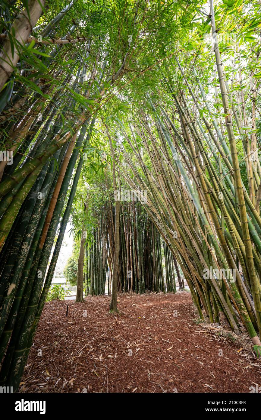 Amazing Australia in a Journey to the Jungle as well as City, to see ...