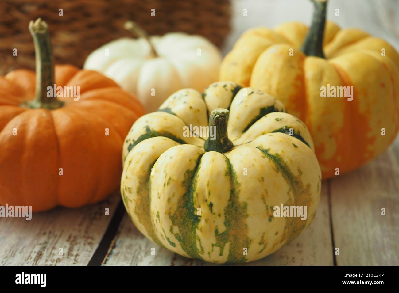 Different types of mini pumpkins color background Stock Photo - Alamy
