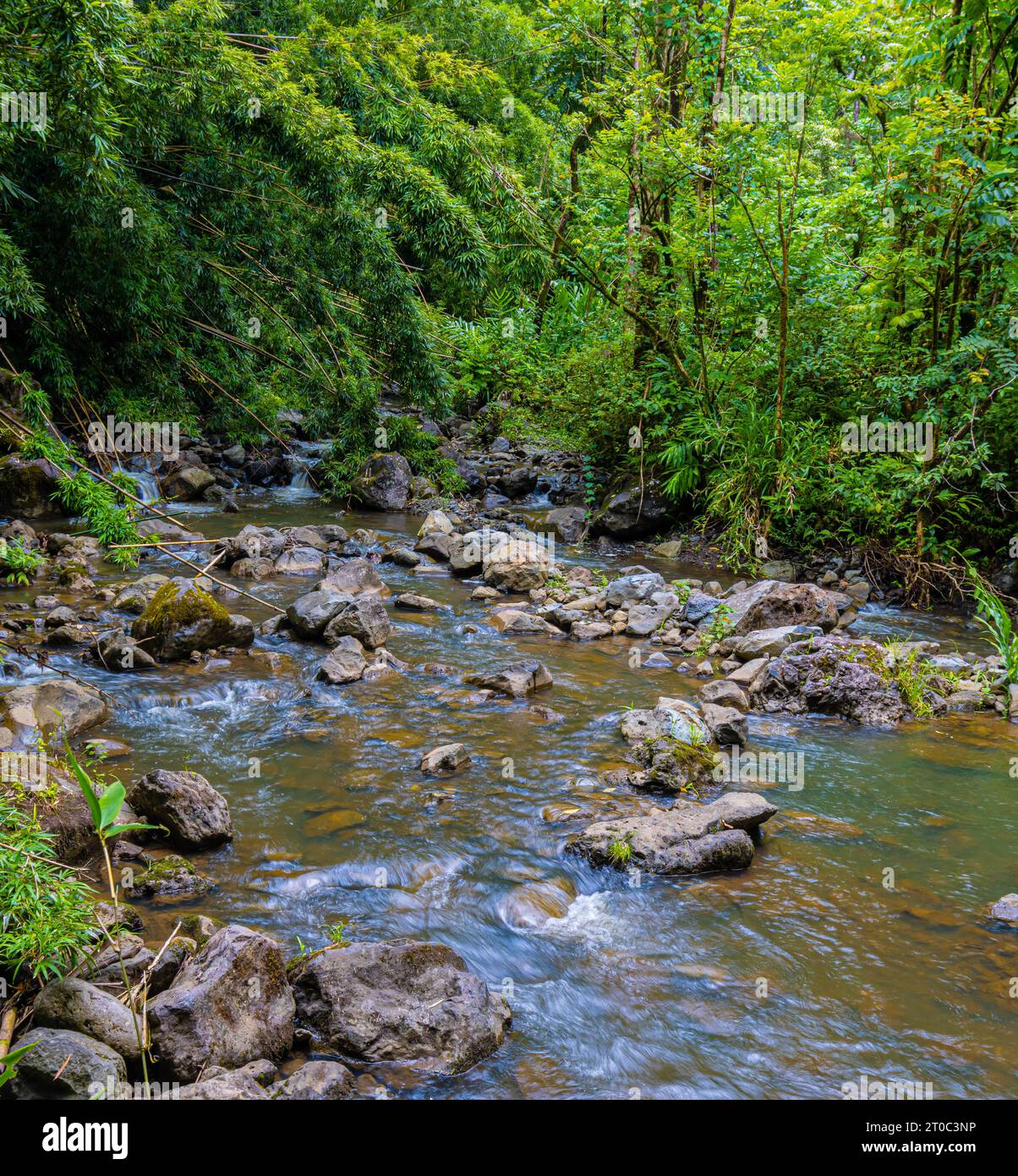 Cascades on The Pipiwai Stream Along The Pipiwai Trail, Kipahulu ...