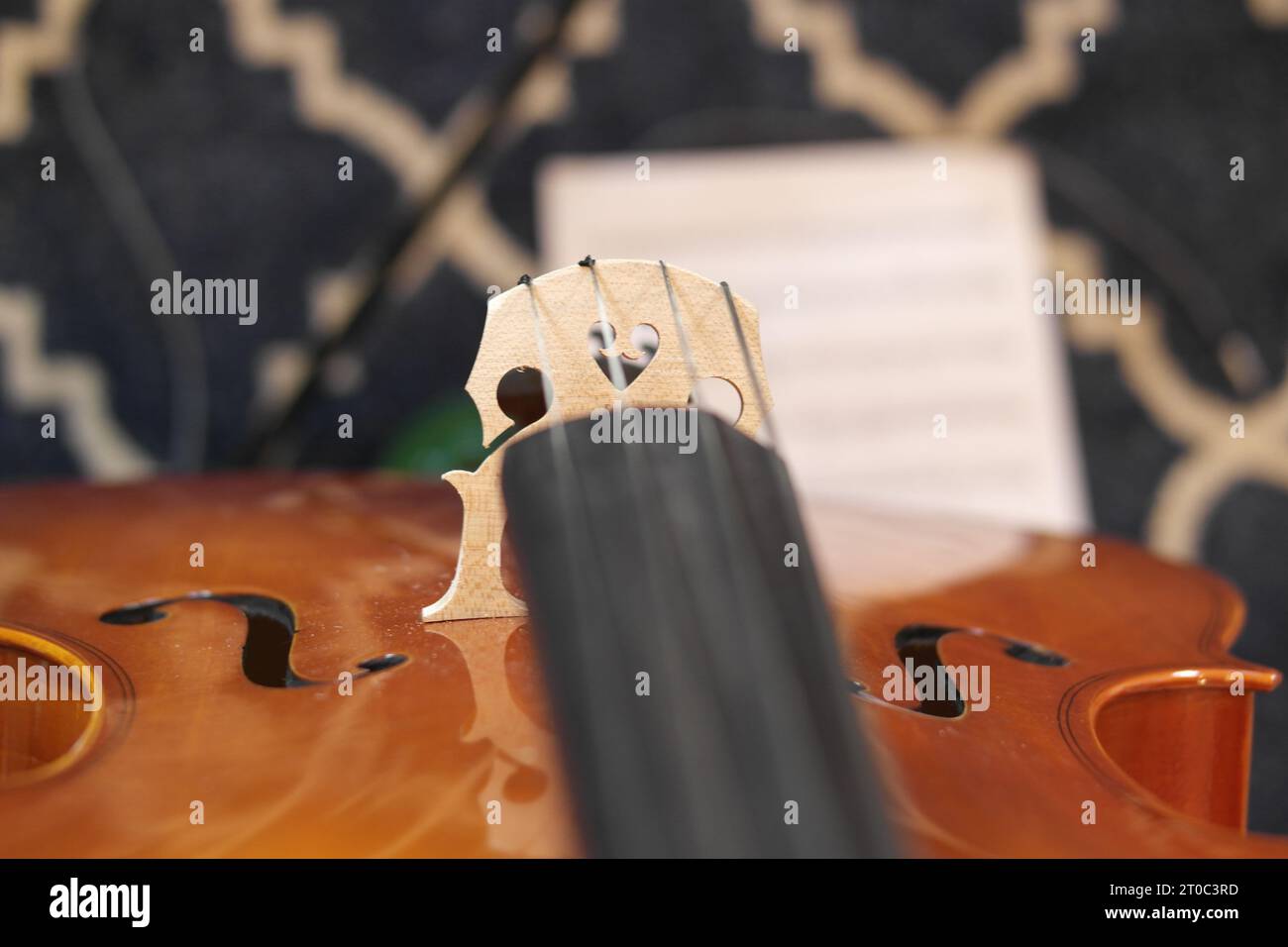 Close Up View of Cello Parts Stock Photo - Alamy