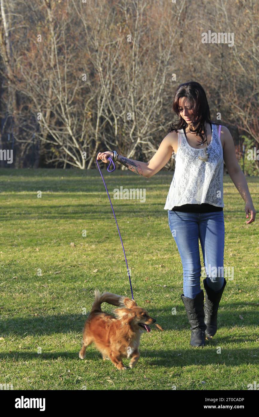 Photo of beautiful girl walking her dog Stock Photo - Alamy