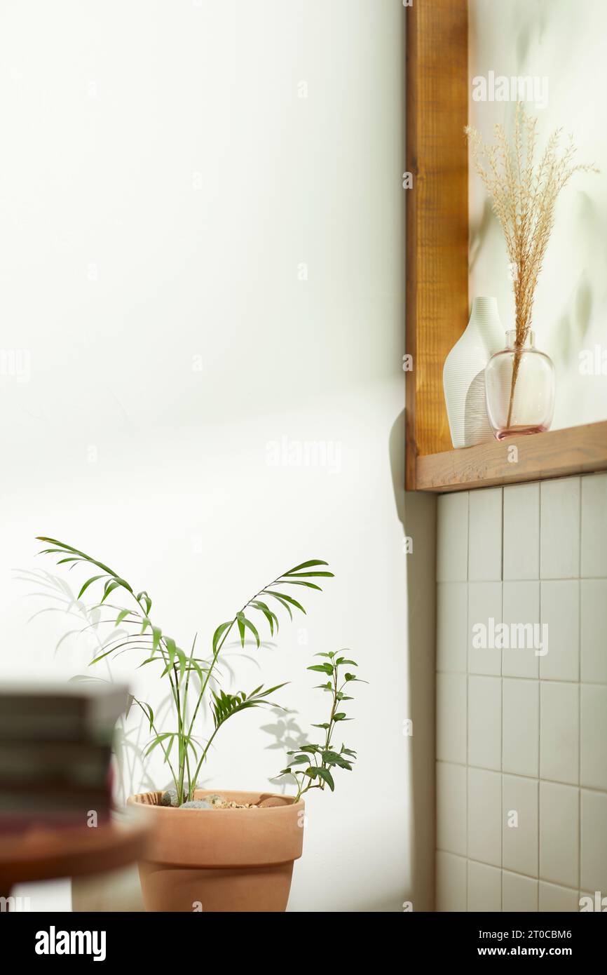 A comfortable room where warm afternoon sunlight comes in through a ...
