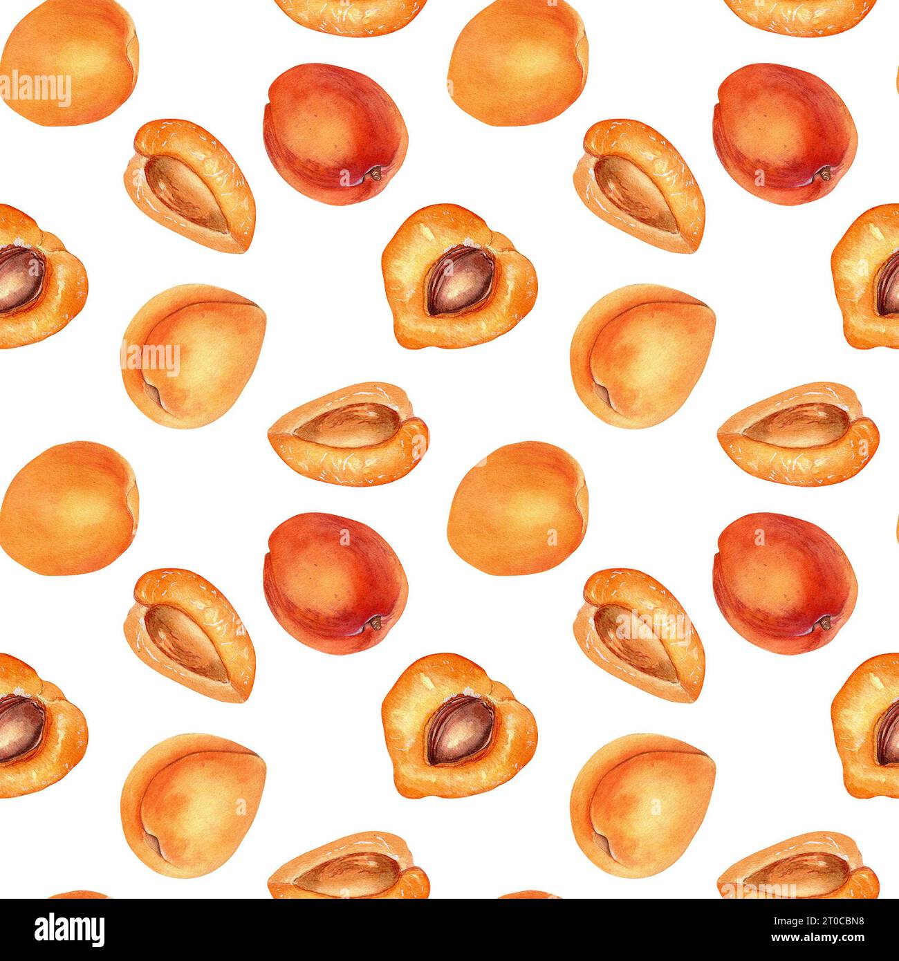 Watercolor whole and segment apricots seamless pattern isolated on ...