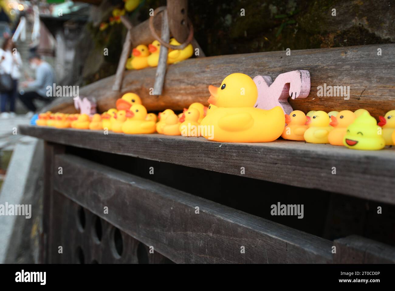 Rubber bath ducks pattern hi-res stock photography and images - Alamy