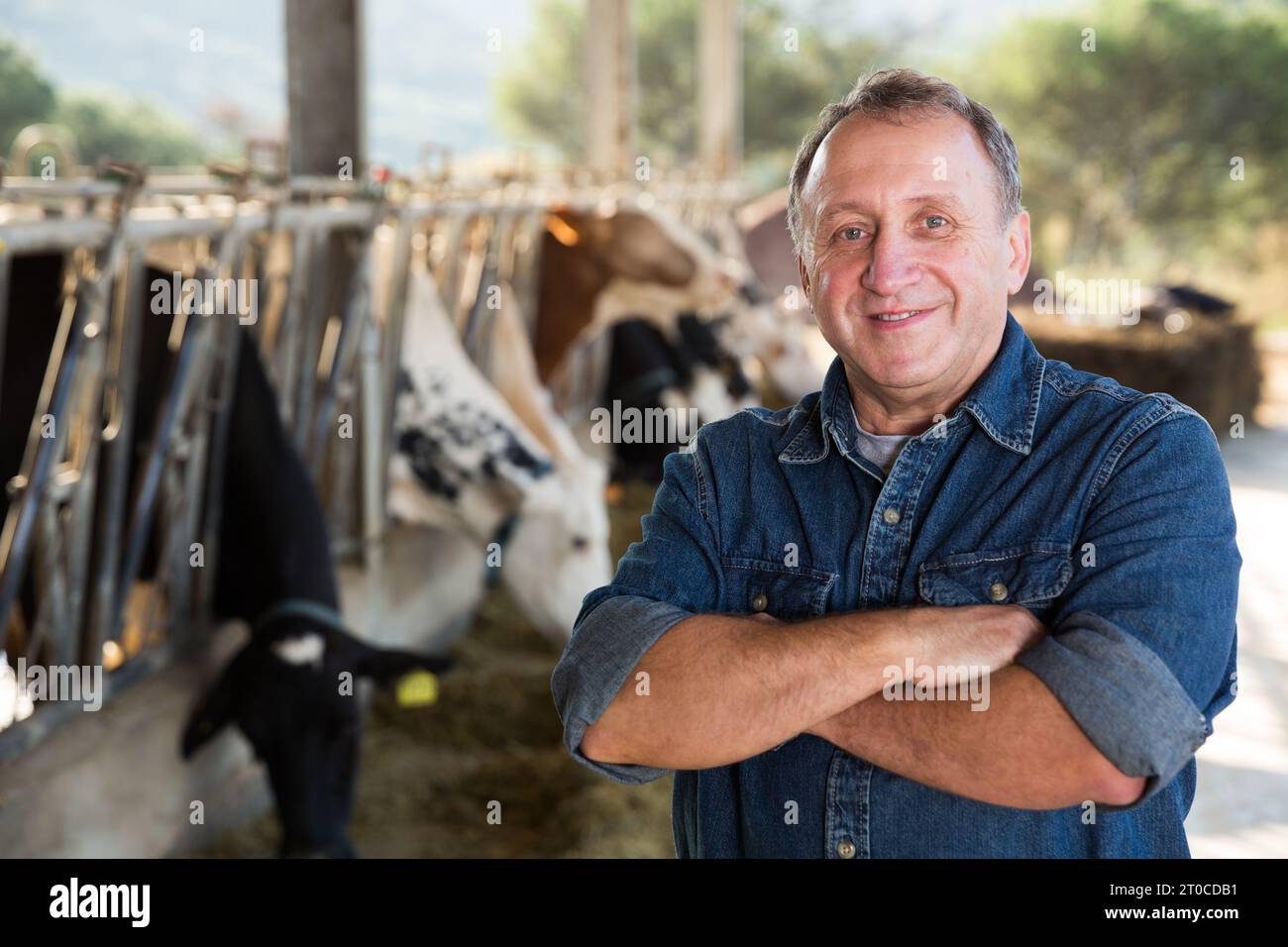 Confident man owner of dairy farm Stock Photo - Alamy
