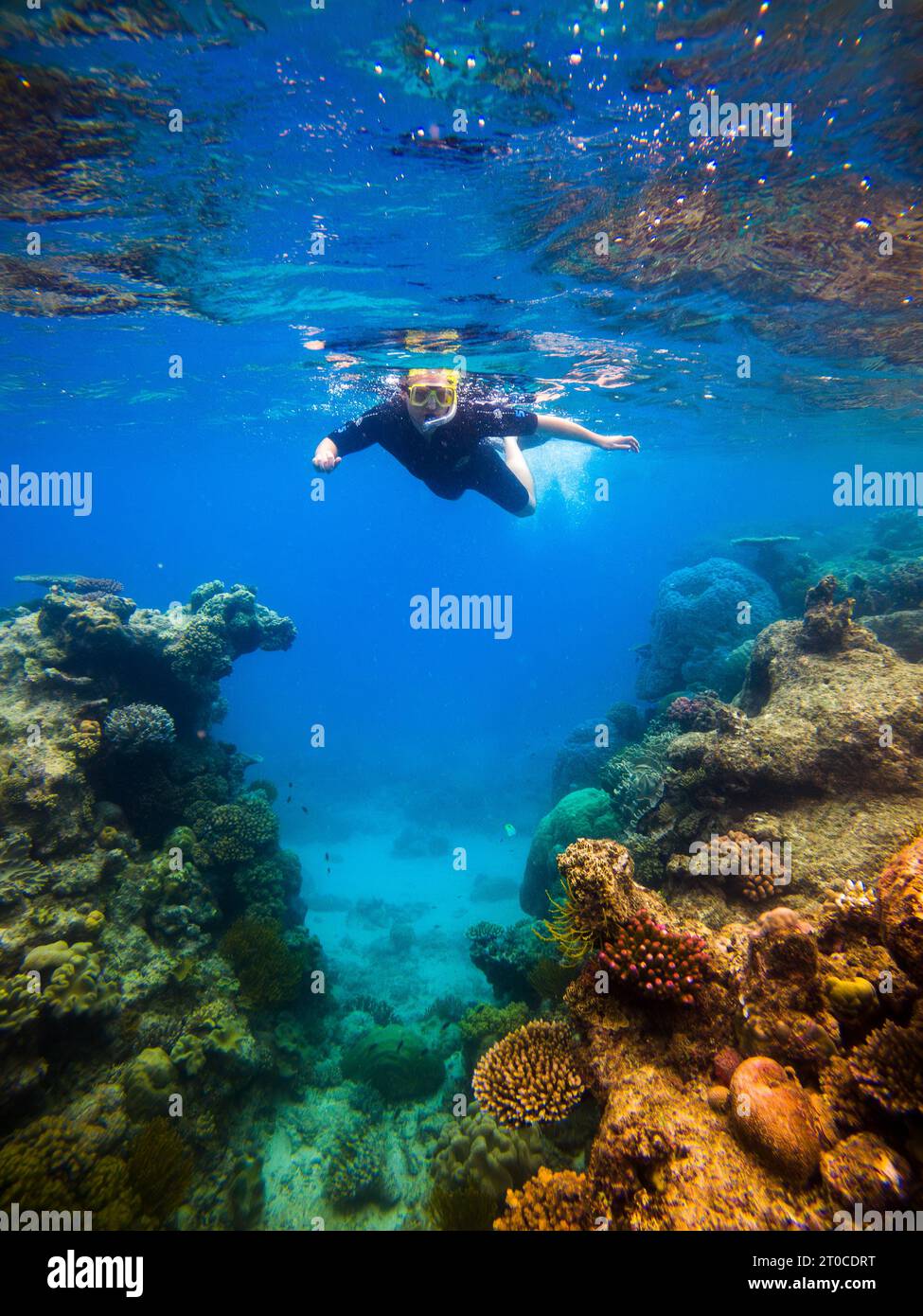 Amazing Australia in a Journey to the Jungle as well as City, to see ...