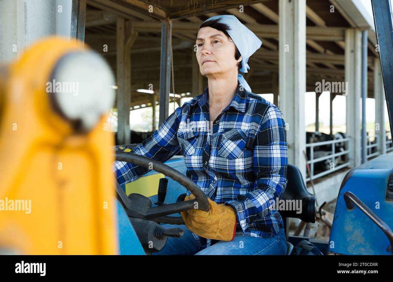 Confident female farm owner driving tractor Stock Photo - Alamy
