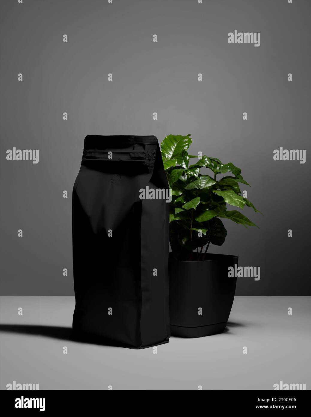 Black pouch template with Arabica in a pot, zip package for design ...
