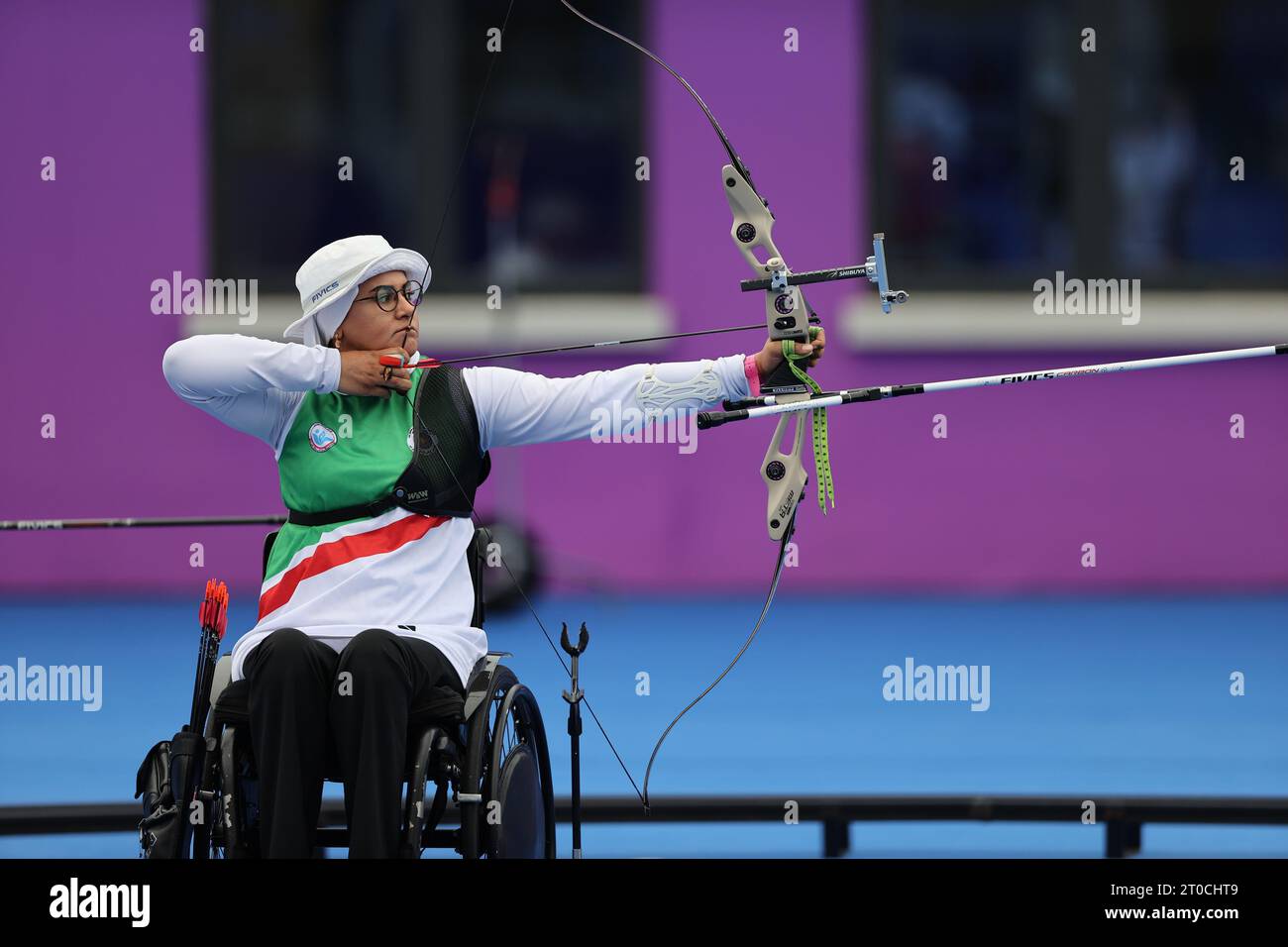Nemati hi-res stock photography and images - Alamy