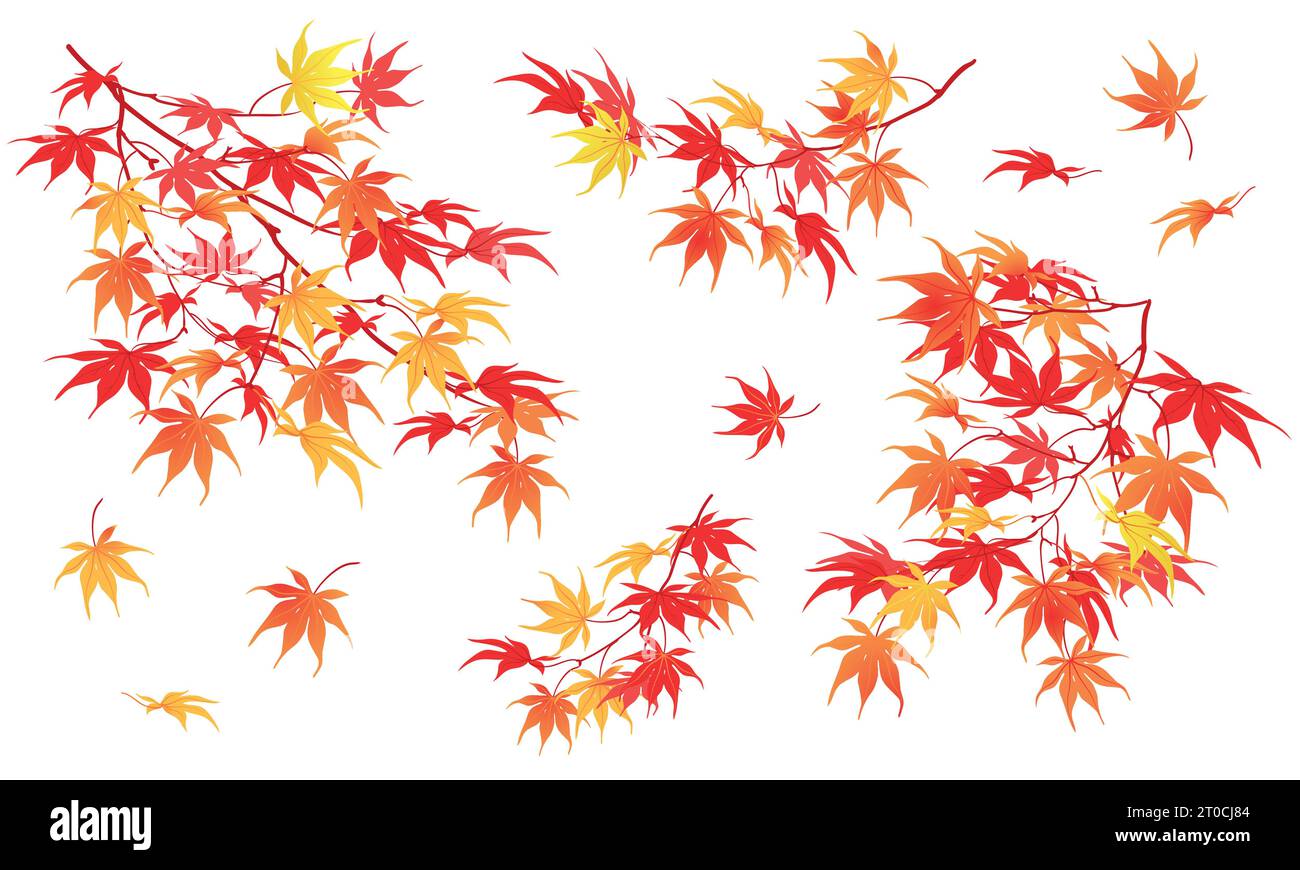Fall foliage kyoto Stock Vector Images - Alamy