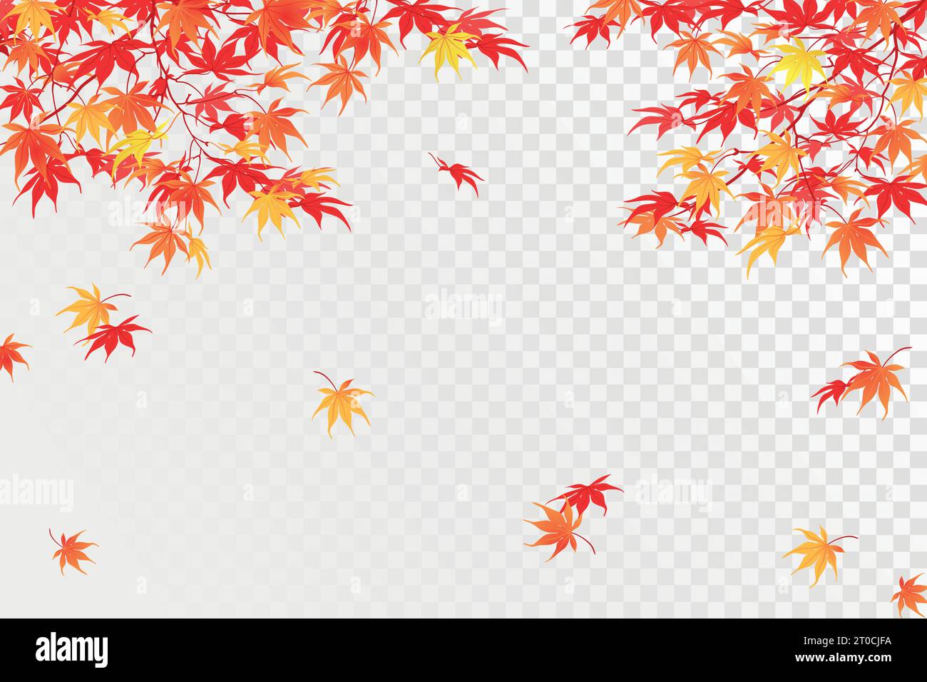Autumn branches on a transparent background. The time of leaf fall. The red leaves of the ...